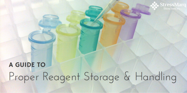 Proper Reagent Storage and Handling | Updated 2025