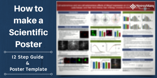 How to Make a Scientific Poster | Updated 2025