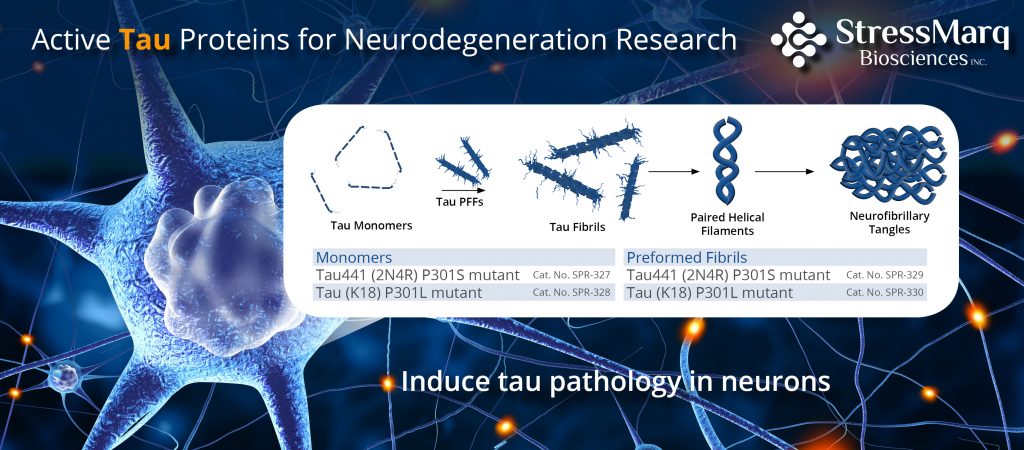 Tau Proteins for Neurodegeneration Research | StressMarq