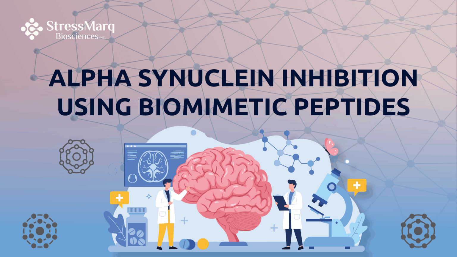 Alpha Synuclein Inhibition Using Biomimetic Peptides