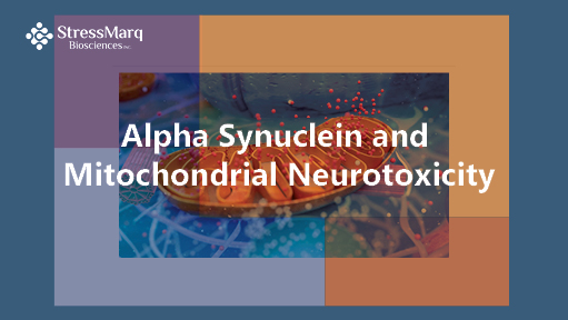 Alpha Synuclein and Mitochondrial Neurotoxicity | StressMarq | StressMarq Biosciences Inc.