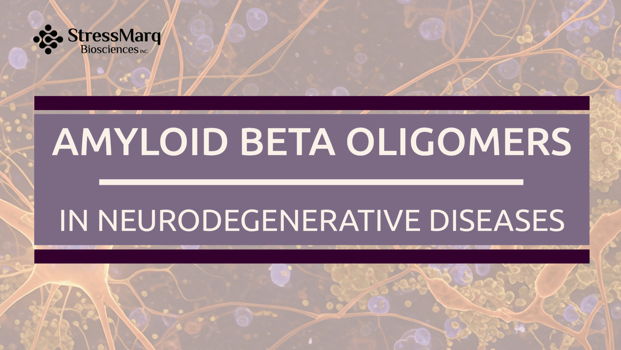 Amyloid Beta Oligomers: Effects on Neurodegeneration