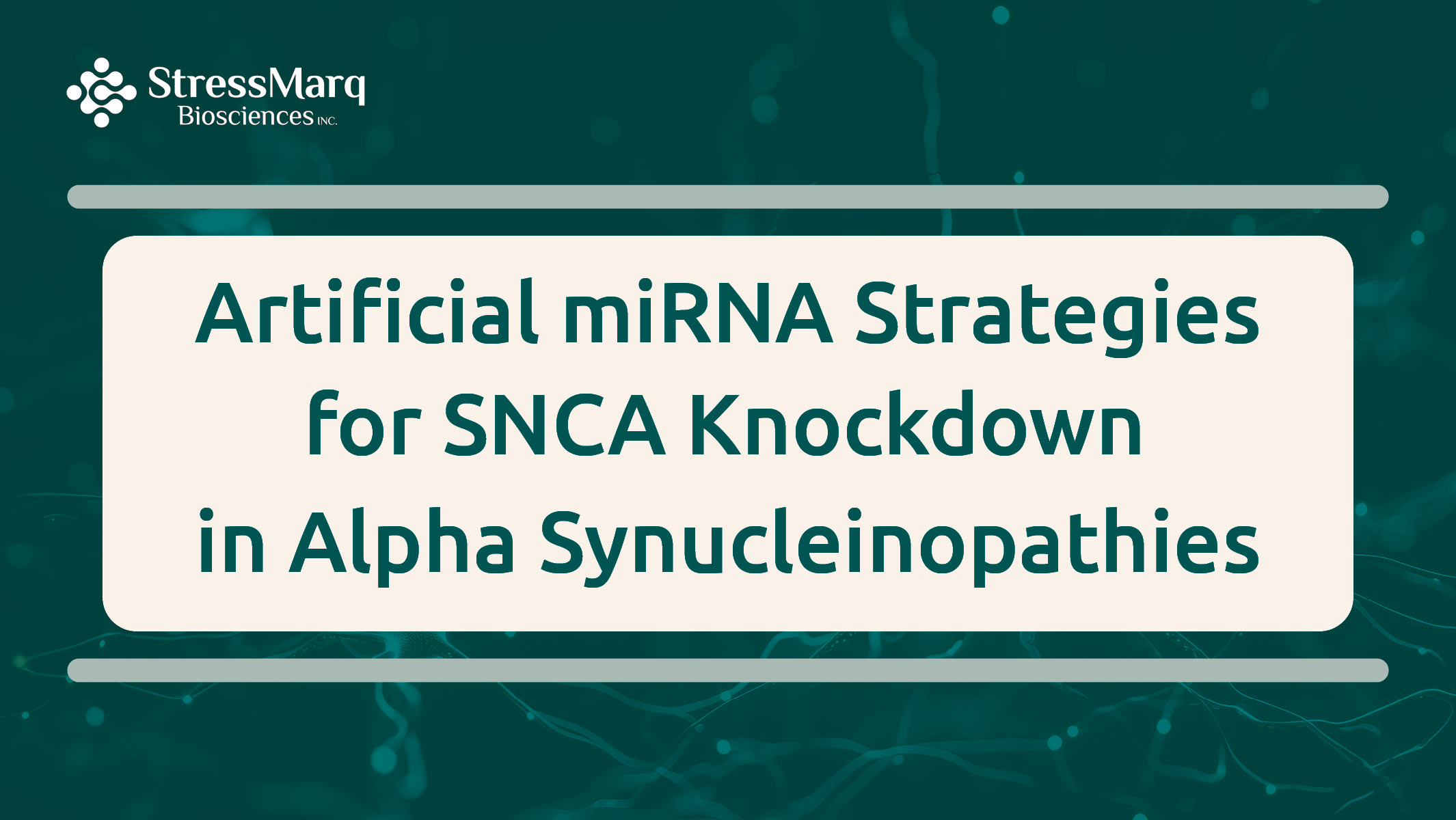 Artificial miRNA Strategies for SNCA Knockdown in Alpha ...