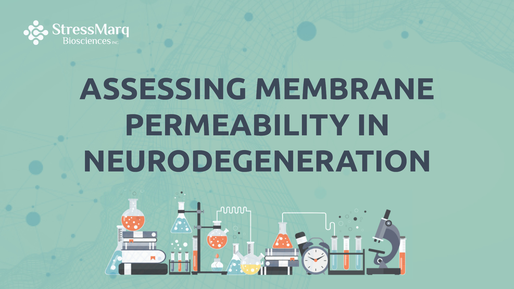 Assessing Membrane Permeability in Neurodegeneration