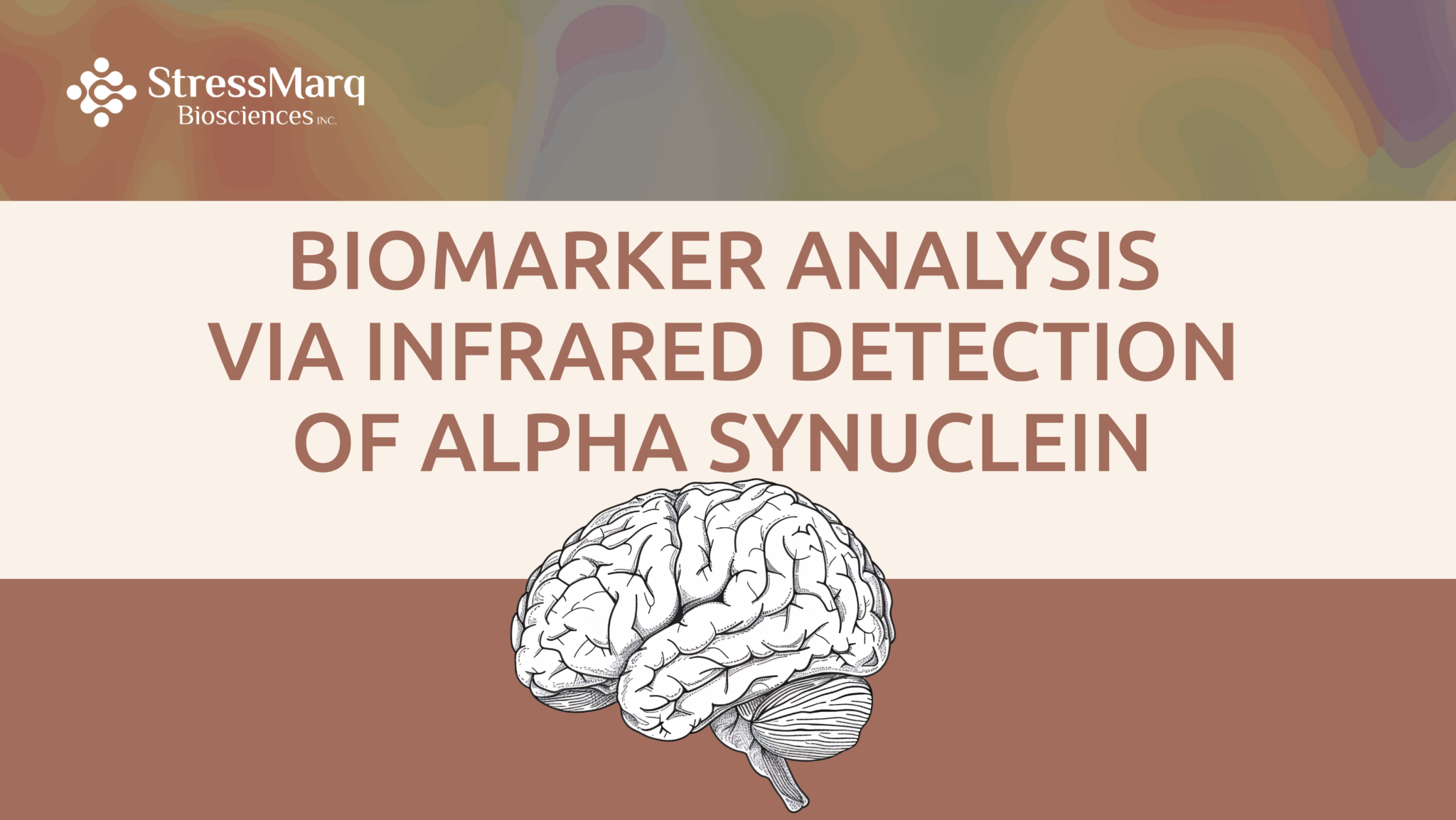 Biomarker Analysis Via Infrared Detection of Alpha Synuclein | StressMarq Biosciences Inc.