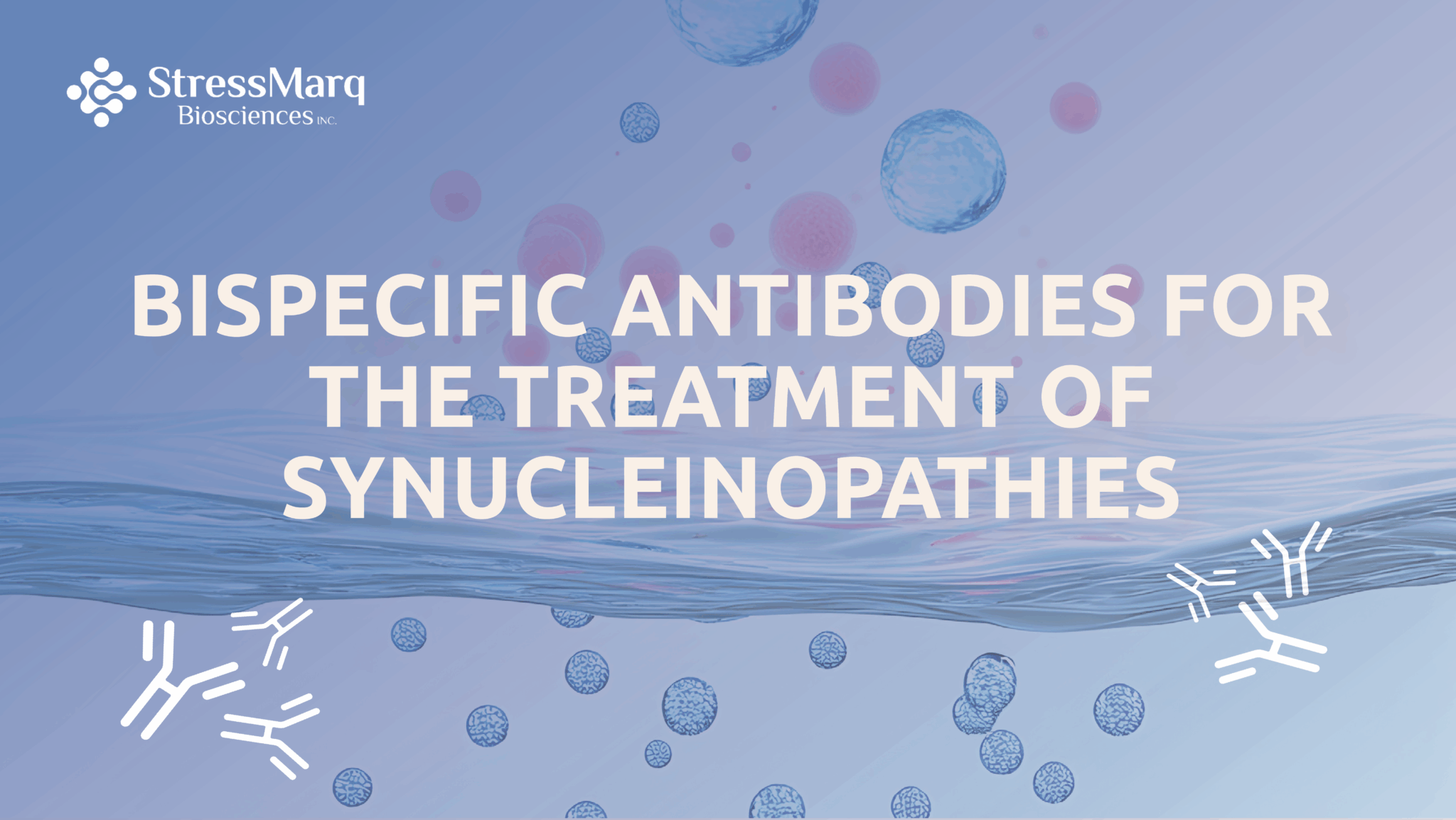 Bispecific Antibodies for the Treatment of Synucleinopathies