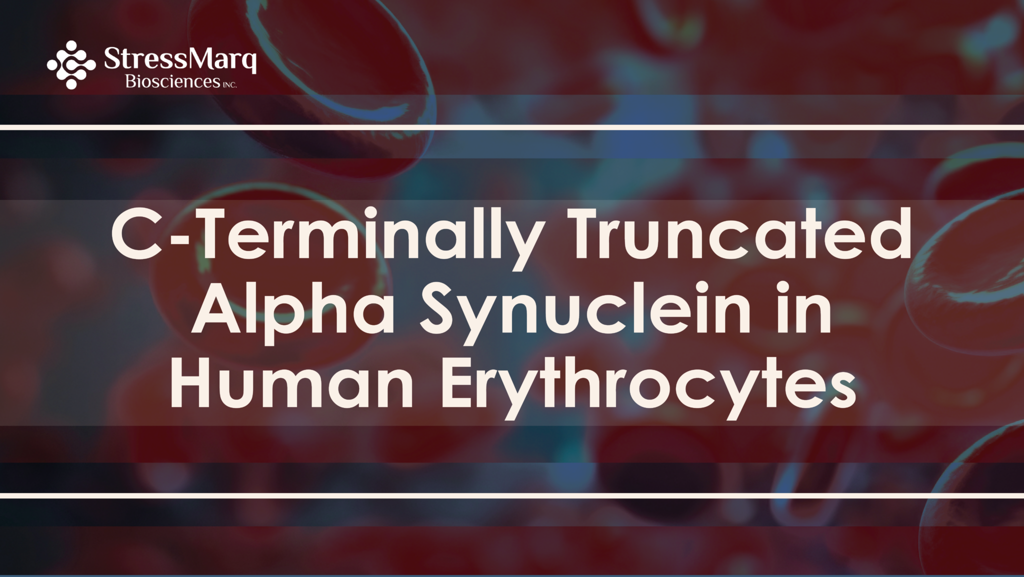 C-Terminally Truncated Alpha Synuclein in Human Erythrocytes