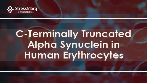 C-Terminally Truncated Alpha Synuclein in Human Erythrocytes