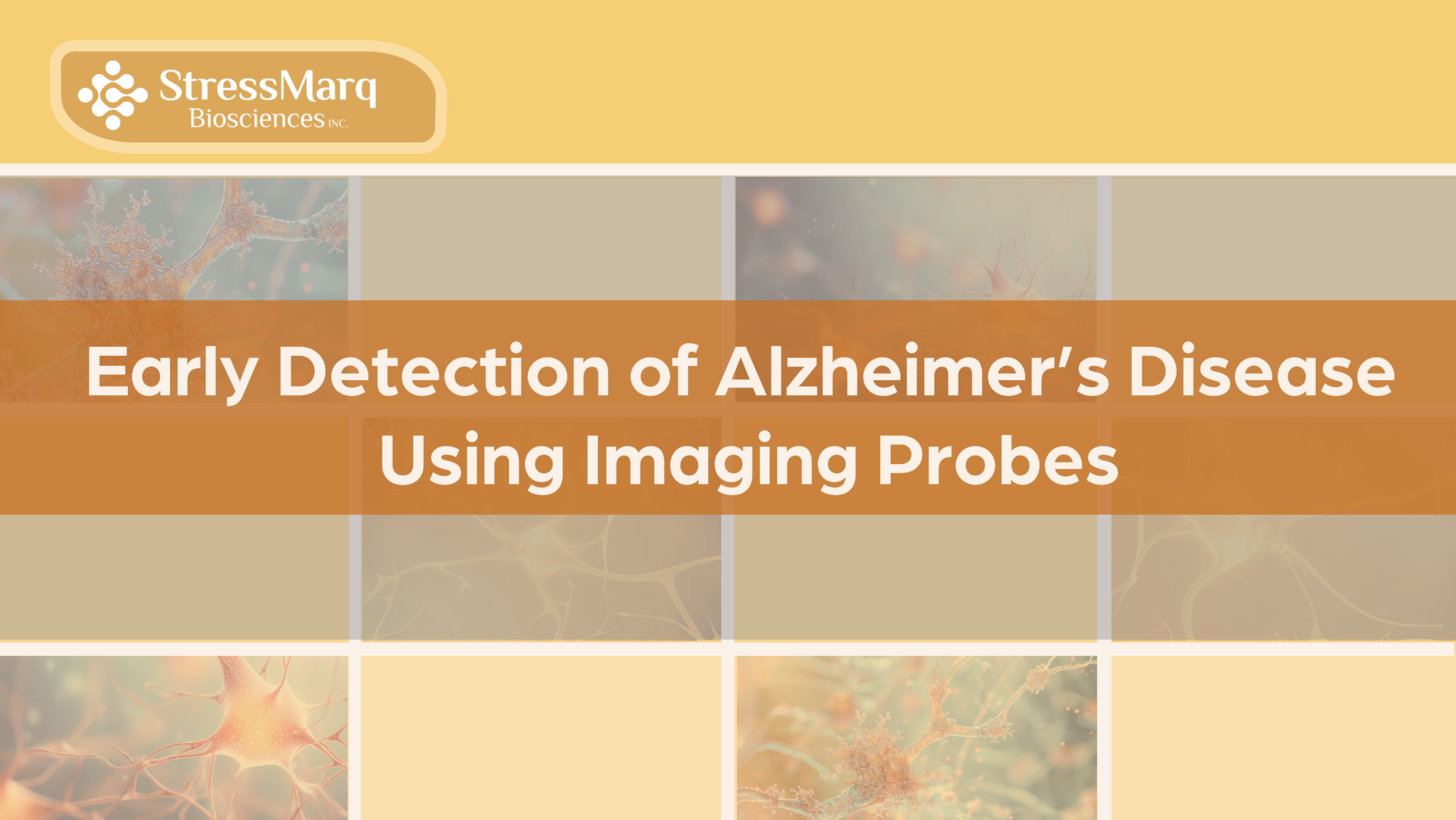 Early Detection of Alzheimer’s Disease Using Imaging Probes | StressMarq Biosciences Inc.
