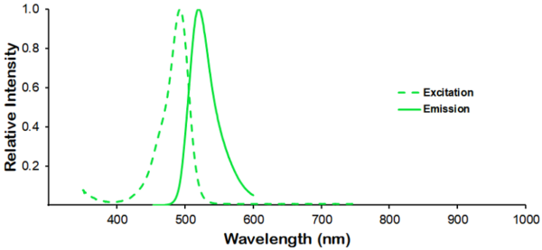 Human Amyloid Beta 1-42 Oligomers (SPR-488)