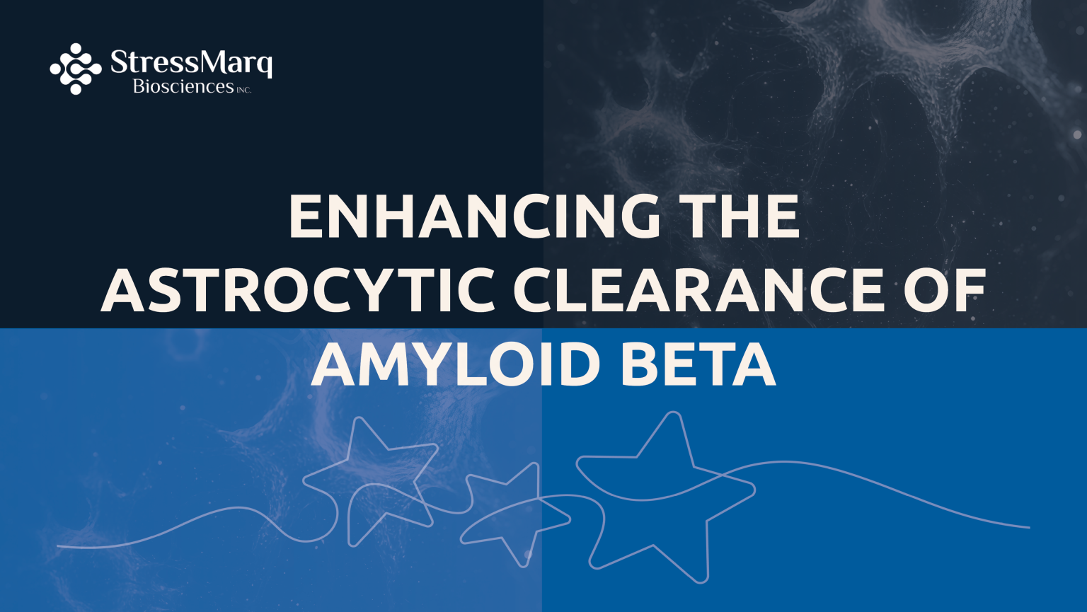 Enhancing the Astrocytic Clearance of Amyloid Beta