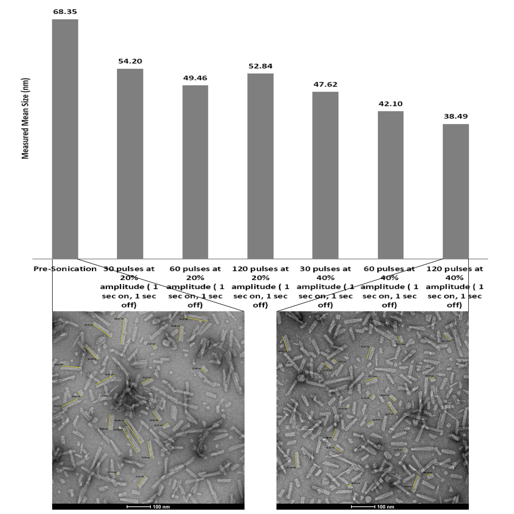 How does sonication affect Alpha Synuclein PFFs?