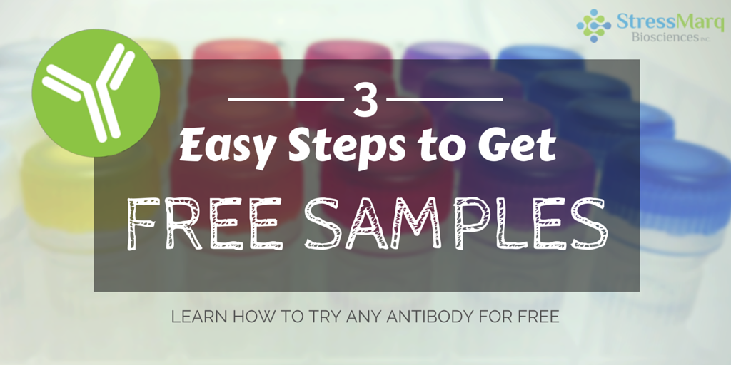 Free Antibody Samples | StressMarq