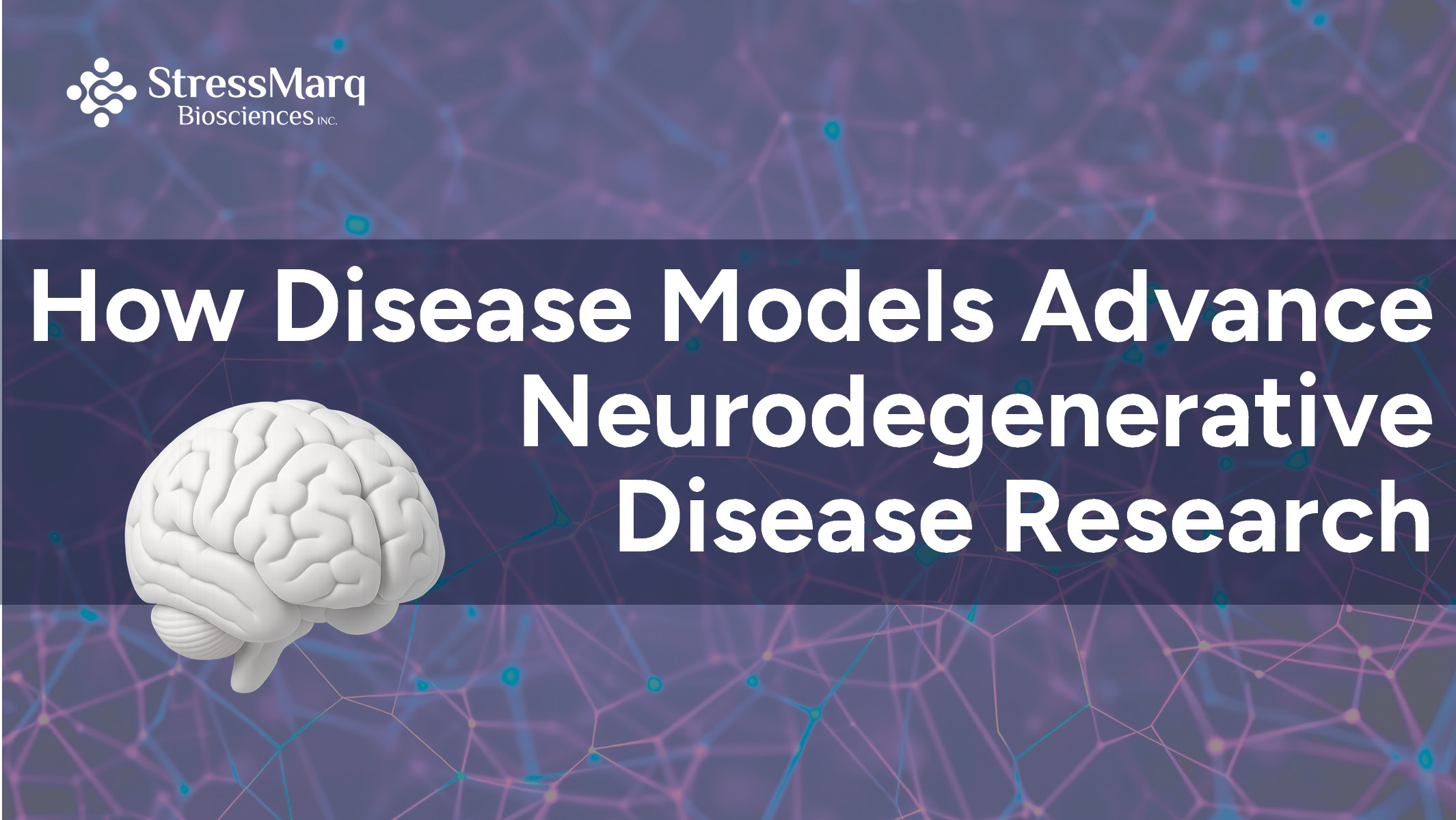 How Disease Models Advance Neurodegenerative Disease Research