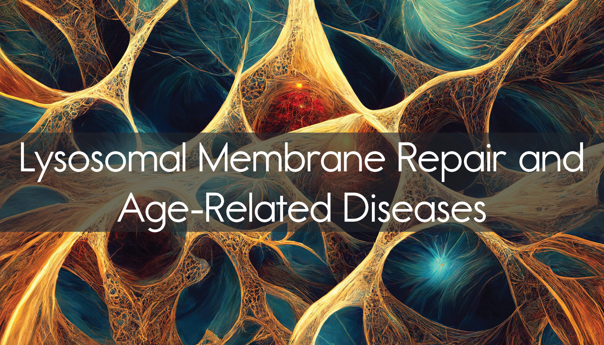 Lysosomal Membrane Repair and Age-Related Diseases | StressMarq ...