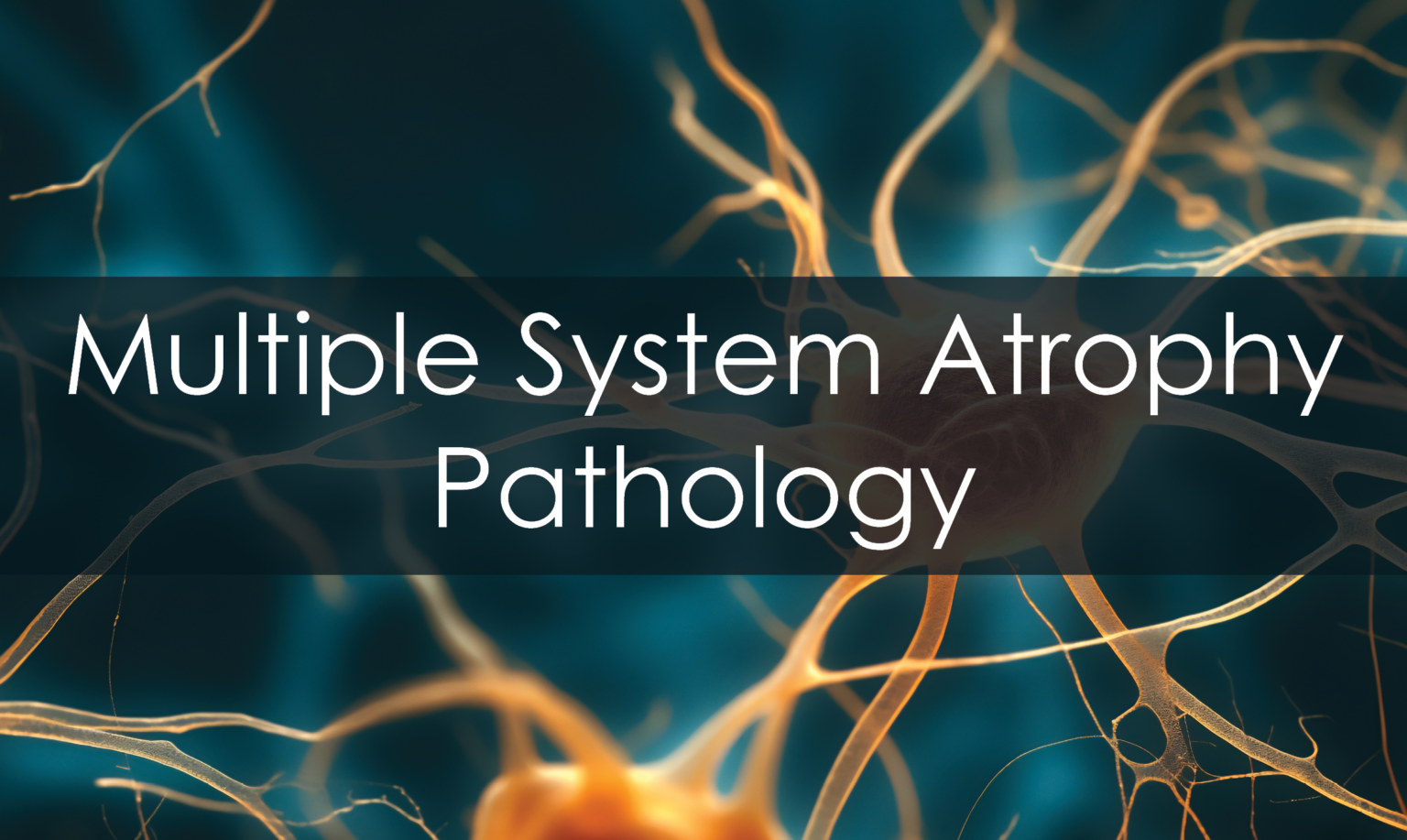 The Pathogenesis of Multiple System Atrophy (MSA)
