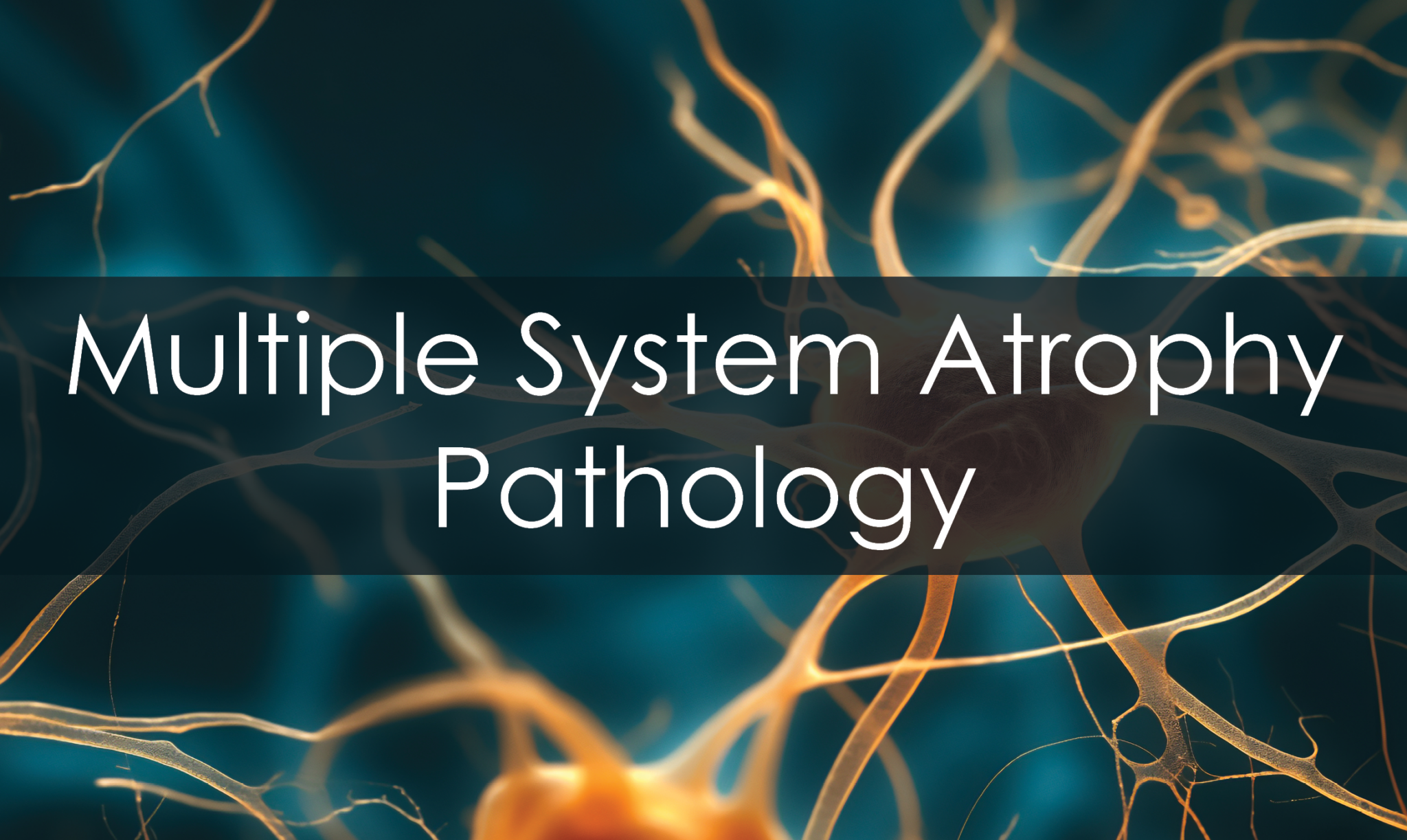 The Pathogenesis of Multiple System Atrophy (MSA)