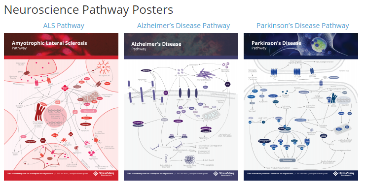 Pathway Posters | StressMarq