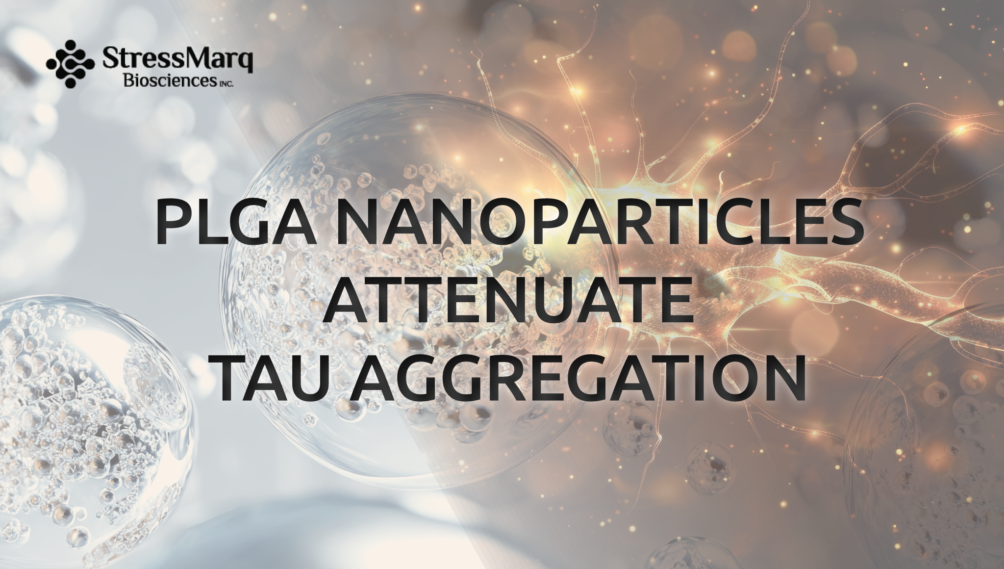PLGA Nanoparticles Attenuate Tau Aggregation