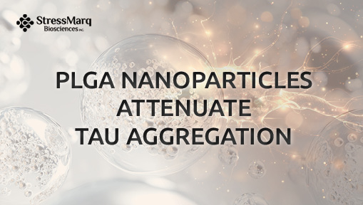 PLGA Nanoparticles Attenuate Tau Aggregation