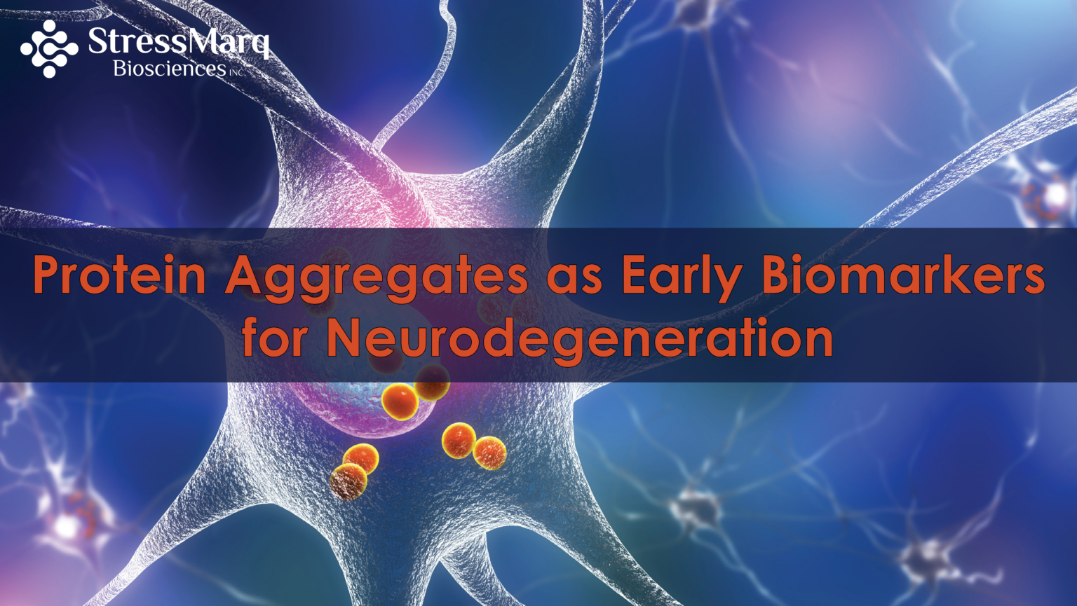 Protein Aggregates as Early Biomarkers for Neurodegeneration