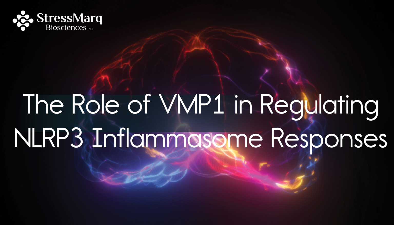 The Role of VMP1 in Regulating NLRP3 Inflammasome Responses ...