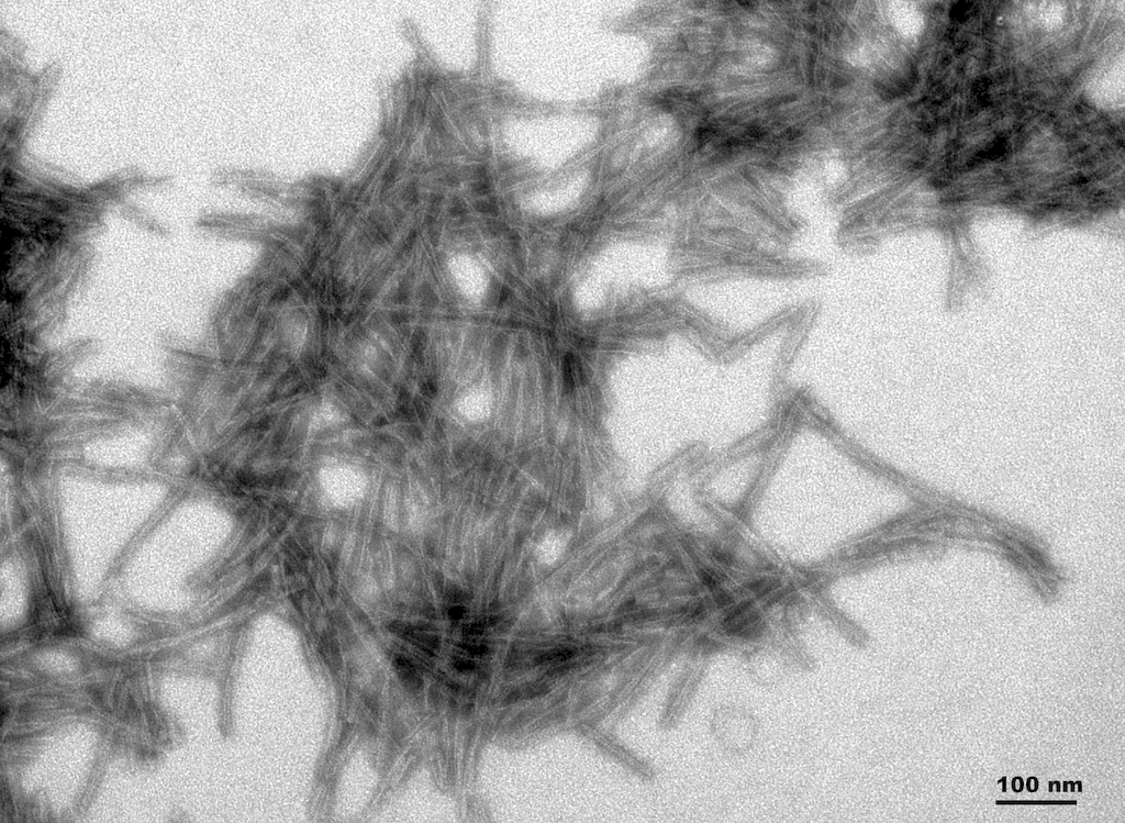 Tau Fibrillar and Oligomeric Constructs | StressMarq