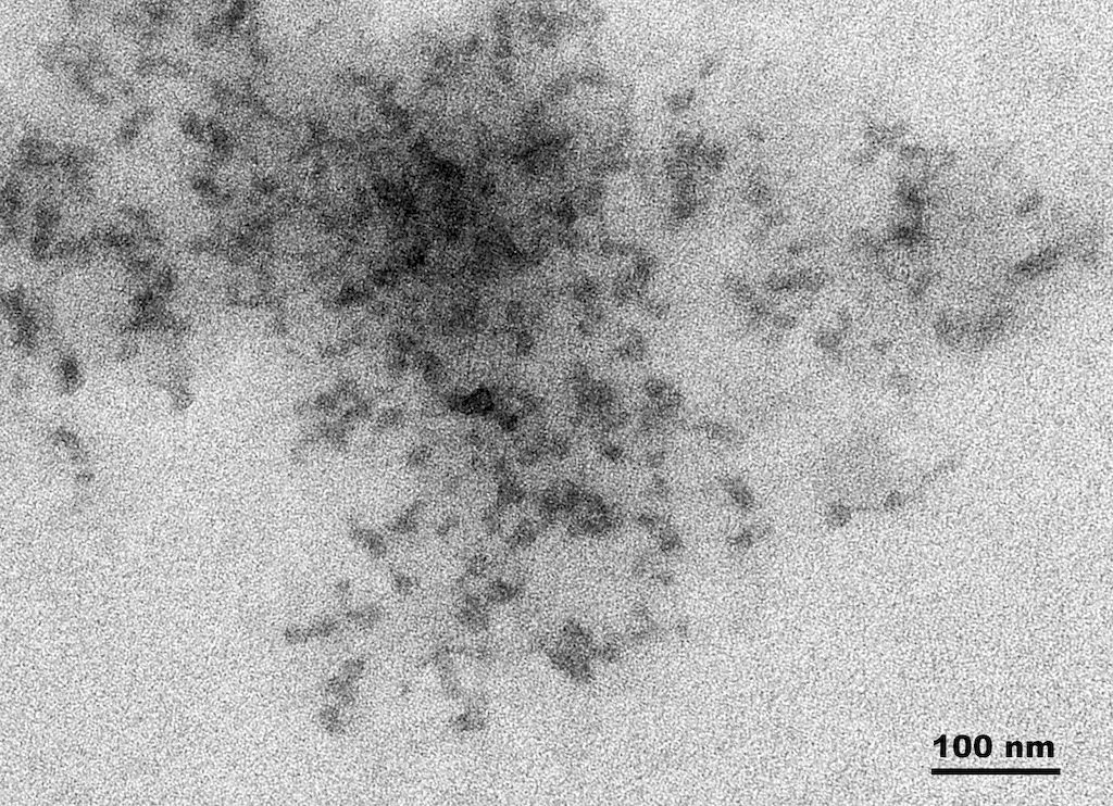 Products - Antibodies, Proteins, Kits, Small Molecules | StressMarq