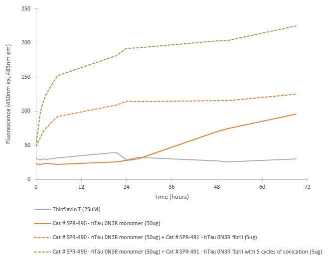 Tau-352 (fetal 0N3R) Wild-Type Pre-formed Fibrils - 2BScientific