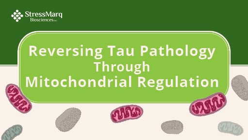 Reversing Tau Pathology Through Mitochondrial Regulation