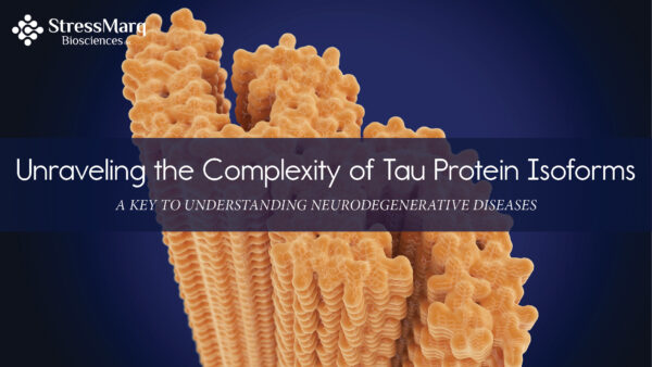 Unraveling the Complexity of Tau Protein Isoforms