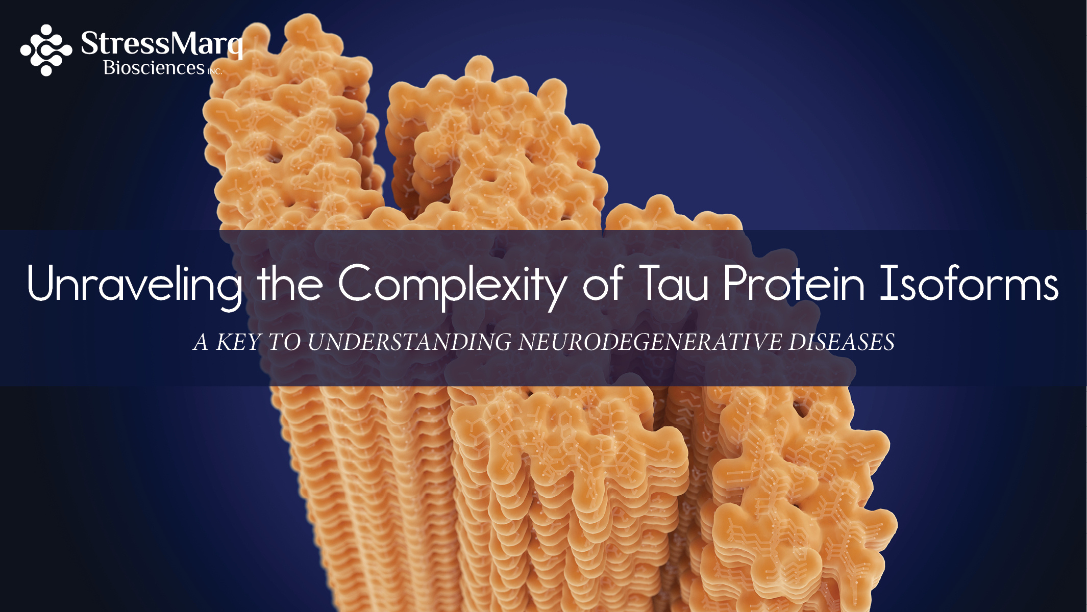 Unraveling the Complexity of Tau Protein Isoforms Unraveling the Complexity of Tau Protein Isoforms