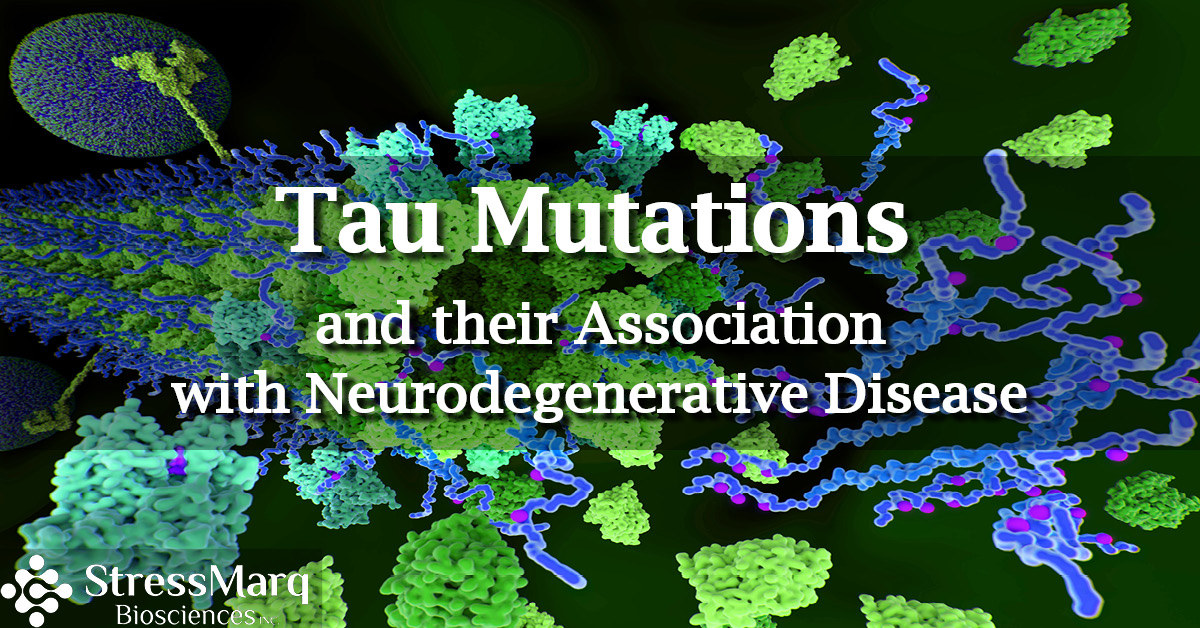 Tau Mutations & Associations with Neurodegenerative Disease