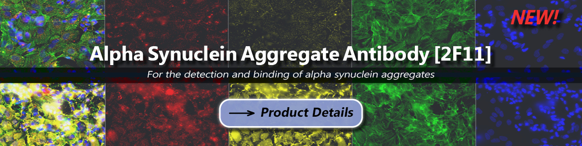 Antibodies, Proteins, Kits, Small Molecules | StressMarq