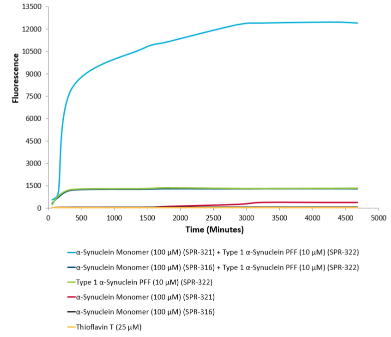 Alpha Synuclein Monomers Key Players In Neurodegeneration